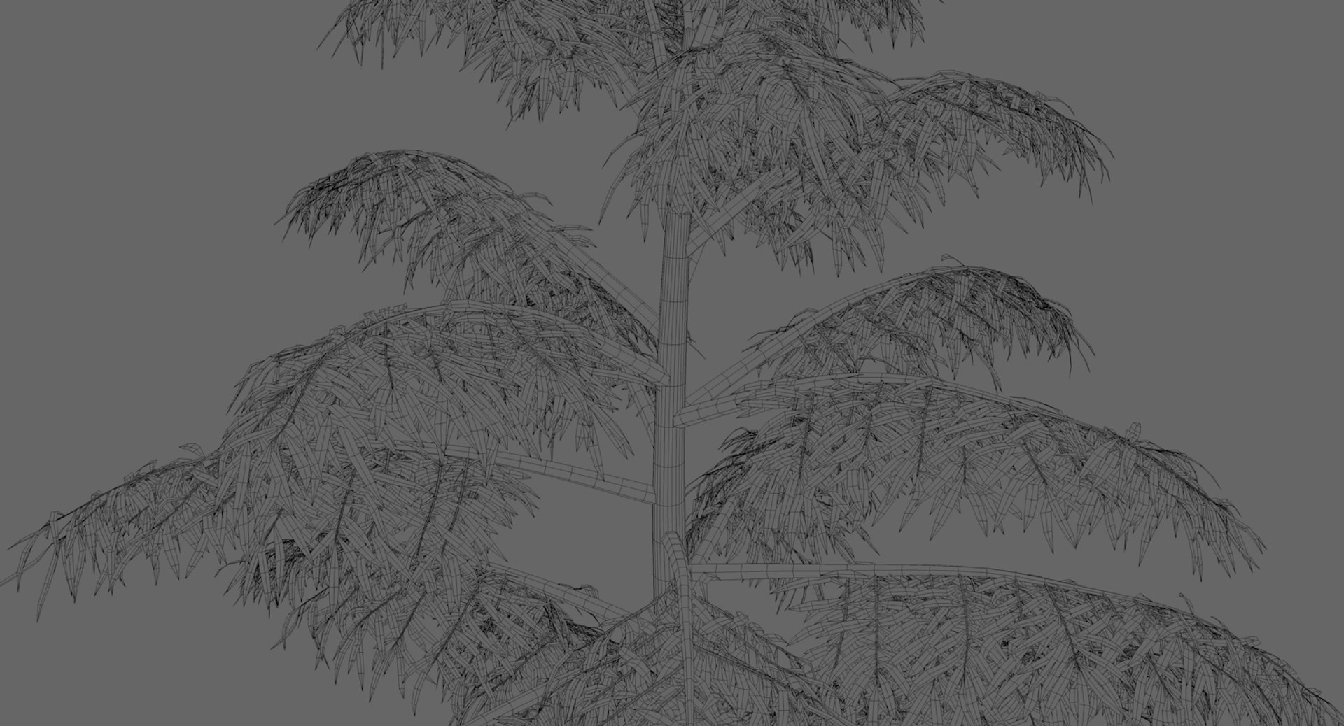 Yellow Cypress Tree 3D - TurboSquid 1280923