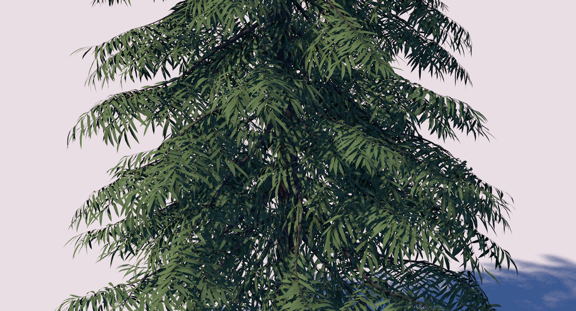 Yellow Cypress Tree 3D - TurboSquid 1280923