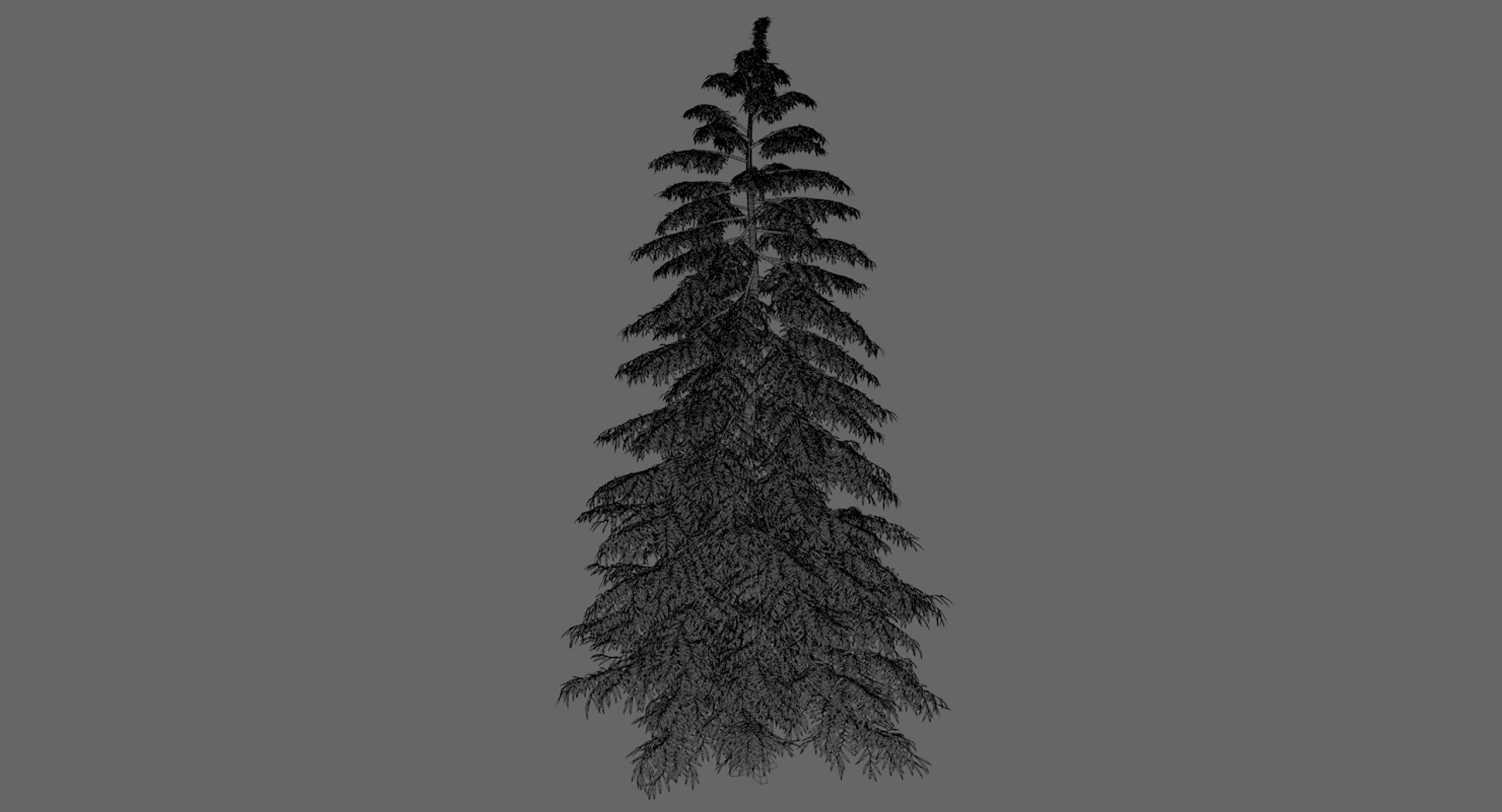 Yellow Cypress Tree 3D - TurboSquid 1280923