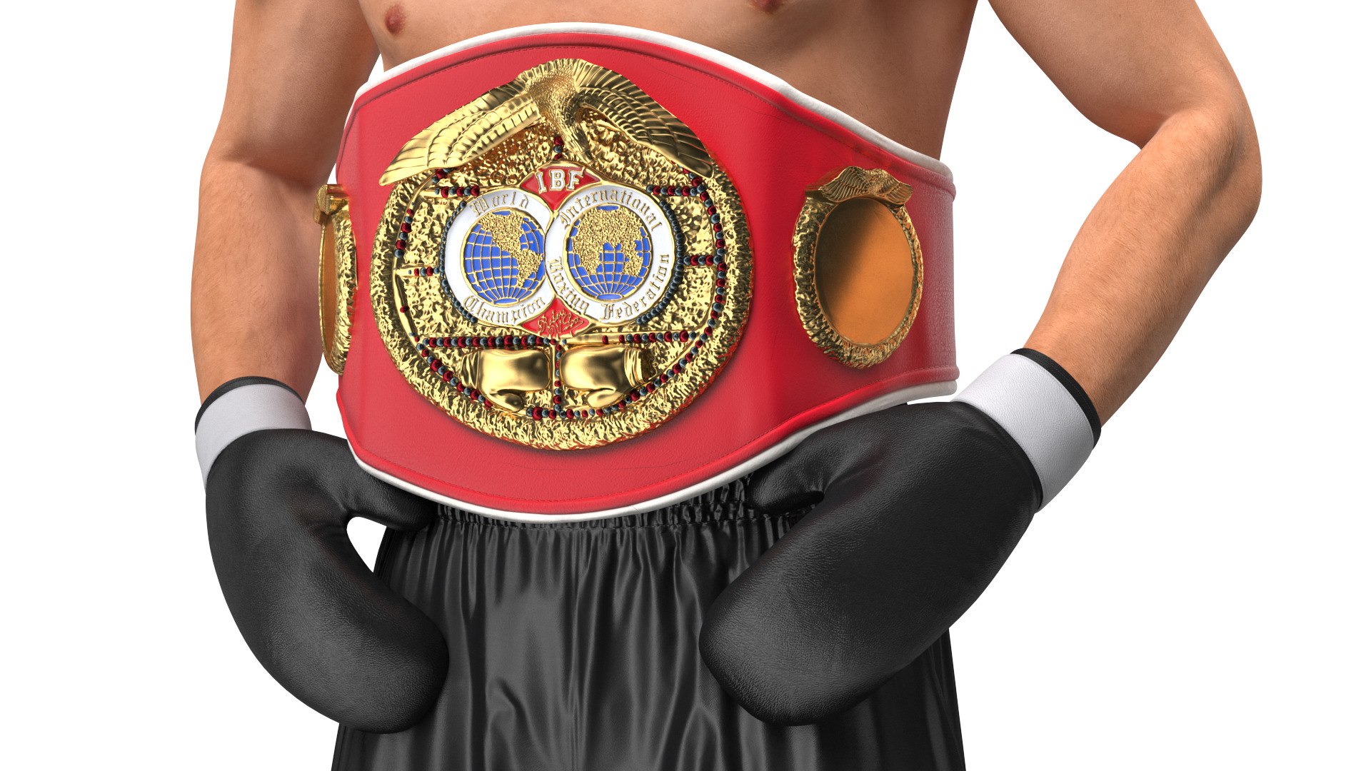 IBF Boxing Champion 3D Model - TurboSquid 2121384