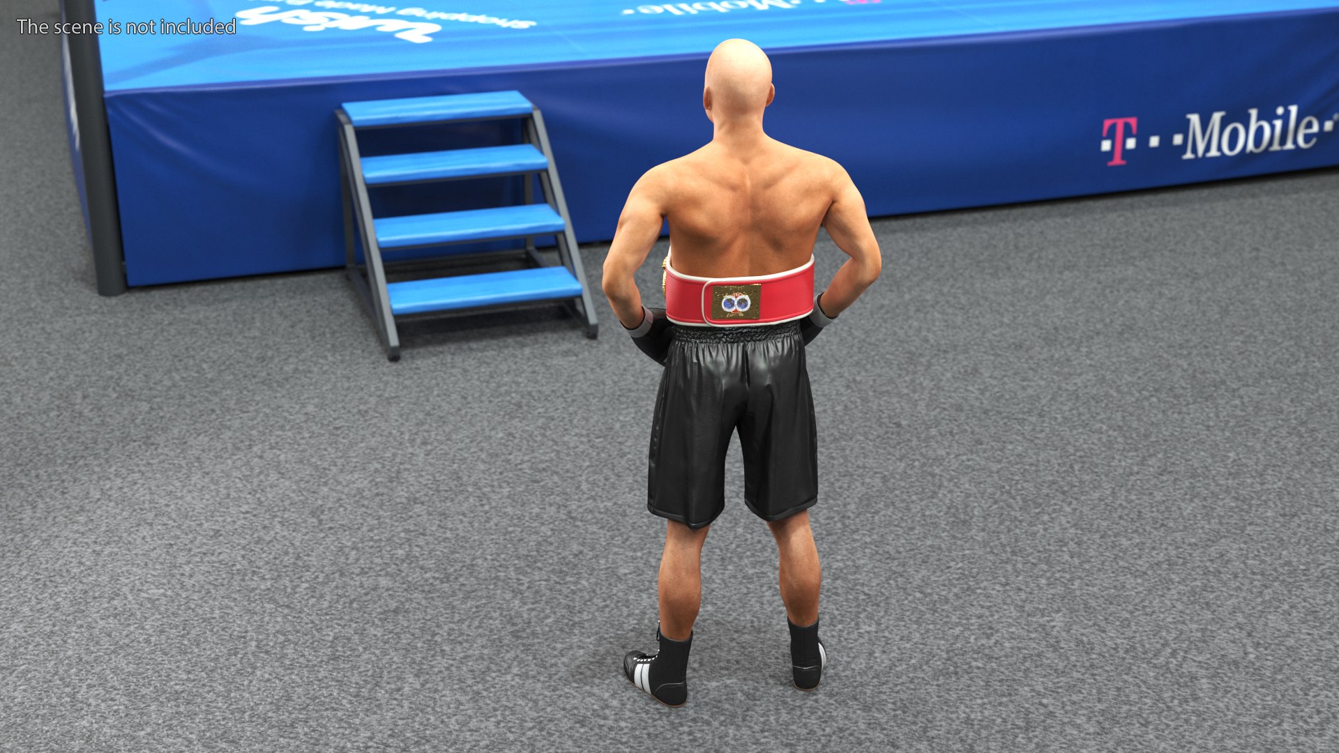 IBF Boxing Champion 3D Model - TurboSquid 2121384