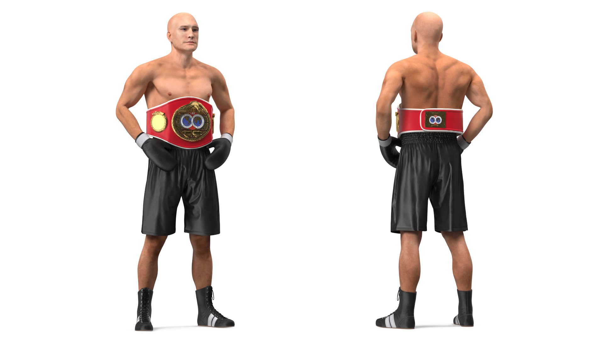 IBF Boxing Champion 3D Model - TurboSquid 2121384