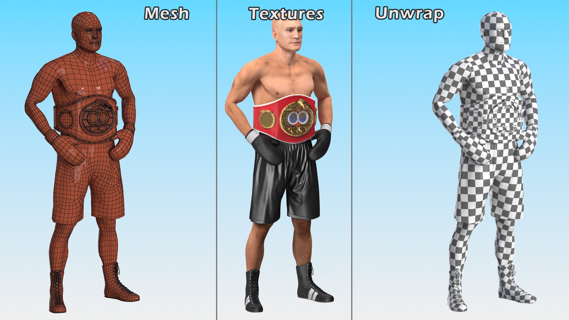 IBF Boxing Champion 3D Model - TurboSquid 2121384