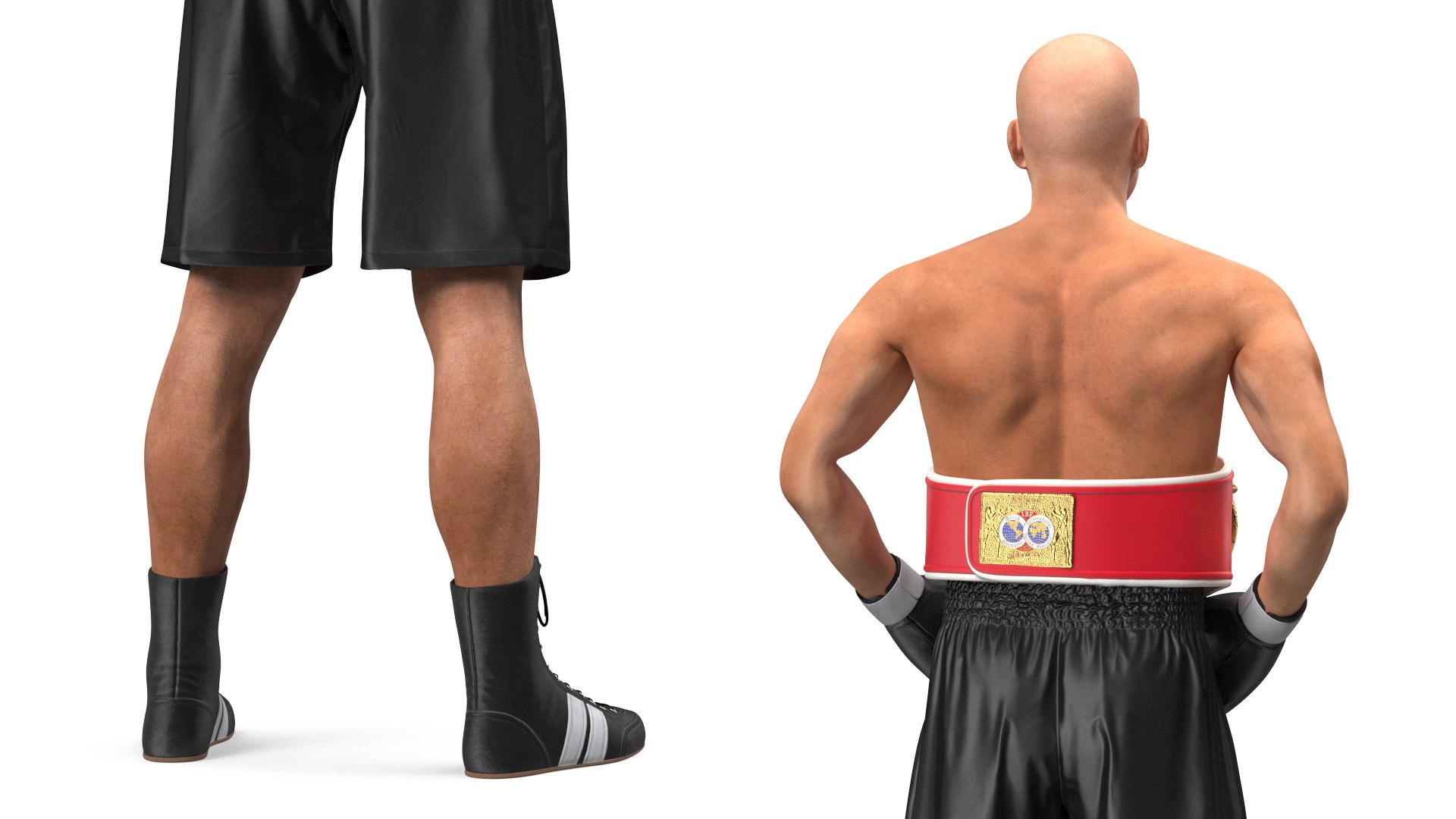 IBF Boxing Champion 3D Model - TurboSquid 2121384