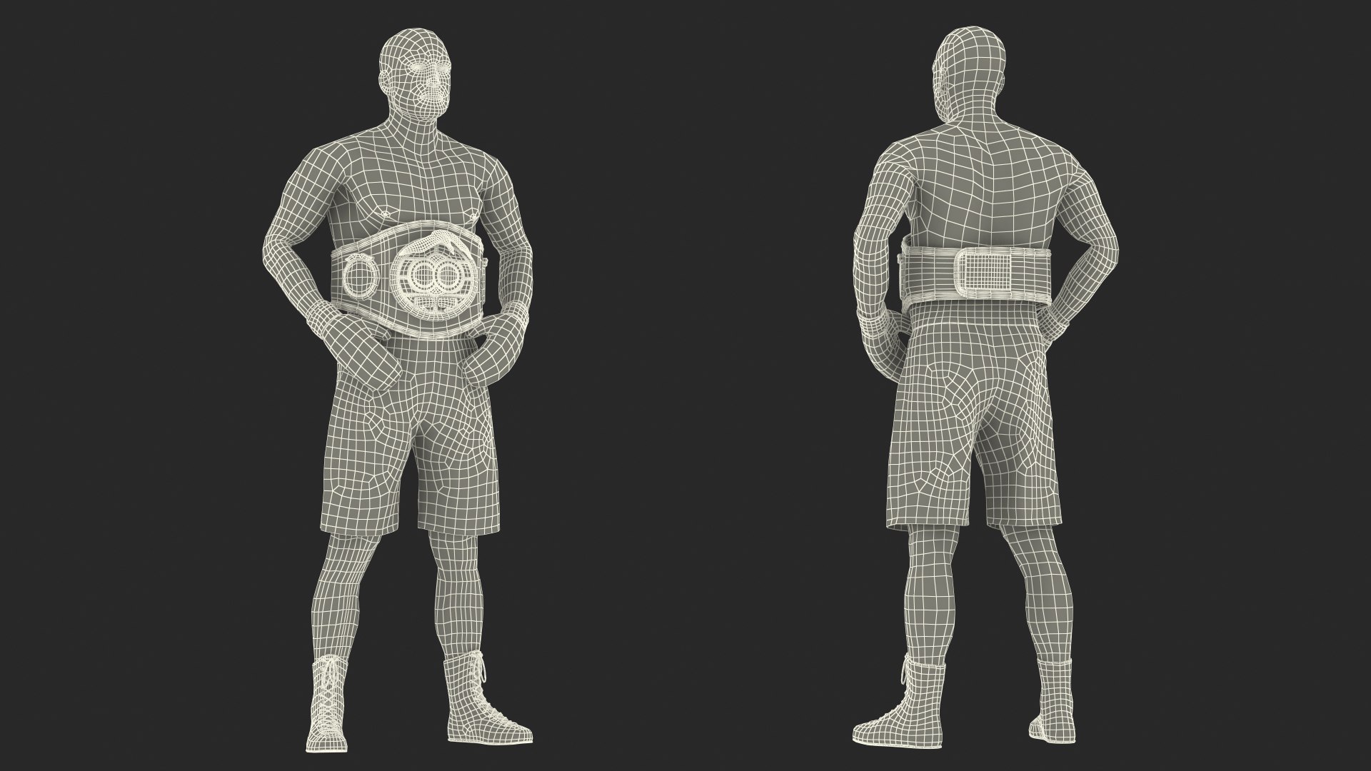 IBF Boxing Champion 3D Model - TurboSquid 2121384