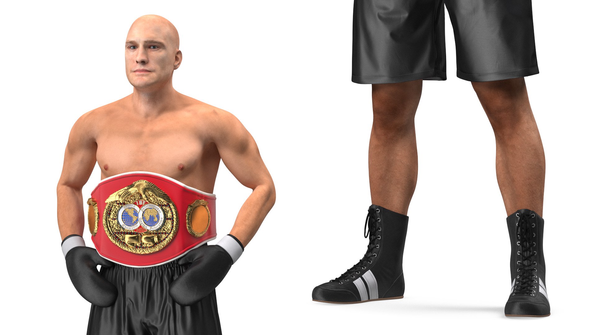 IBF Boxing Champion 3D Model - TurboSquid 2121384