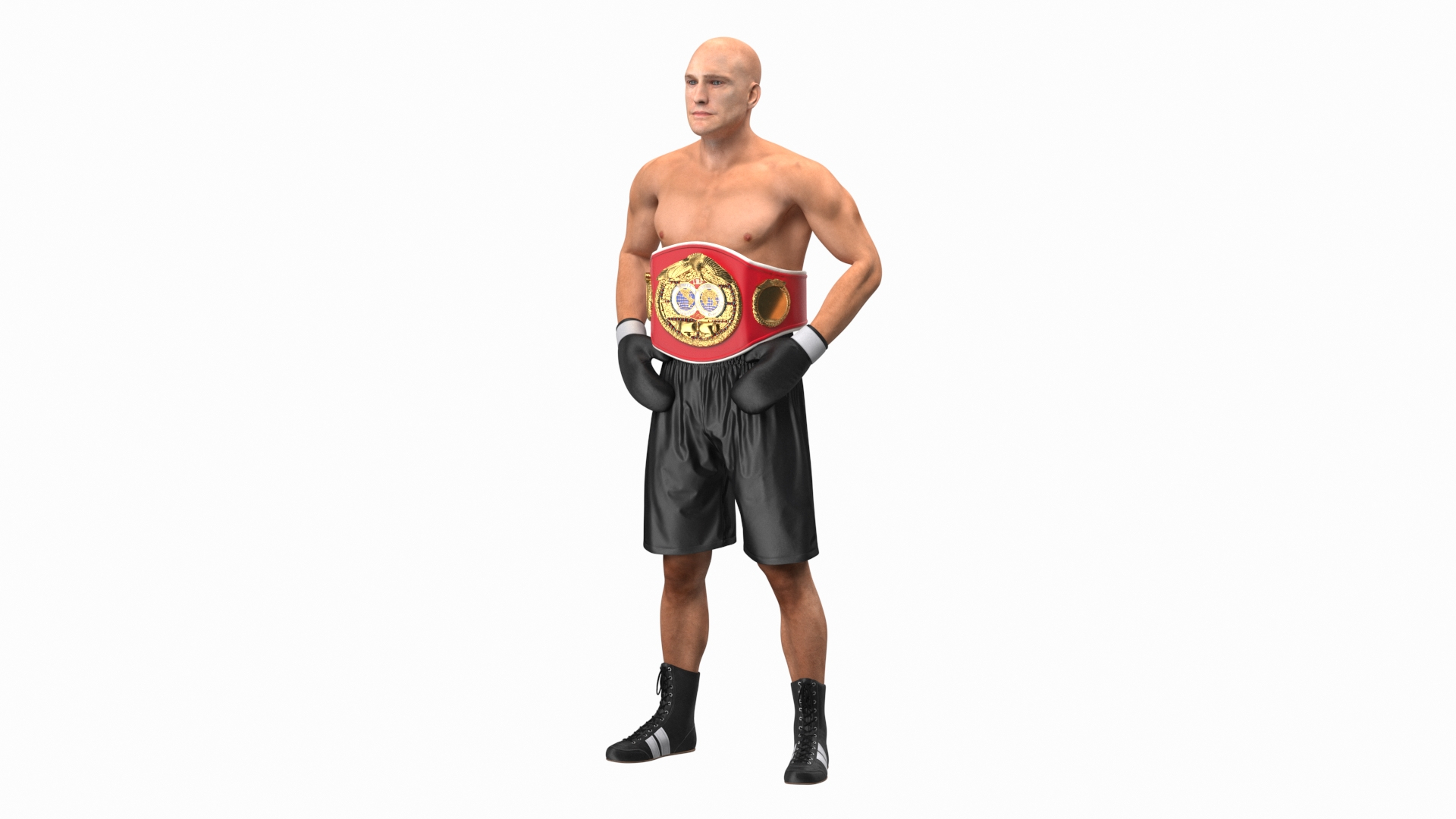 IBF Boxing Champion 3D Model - TurboSquid 2121384