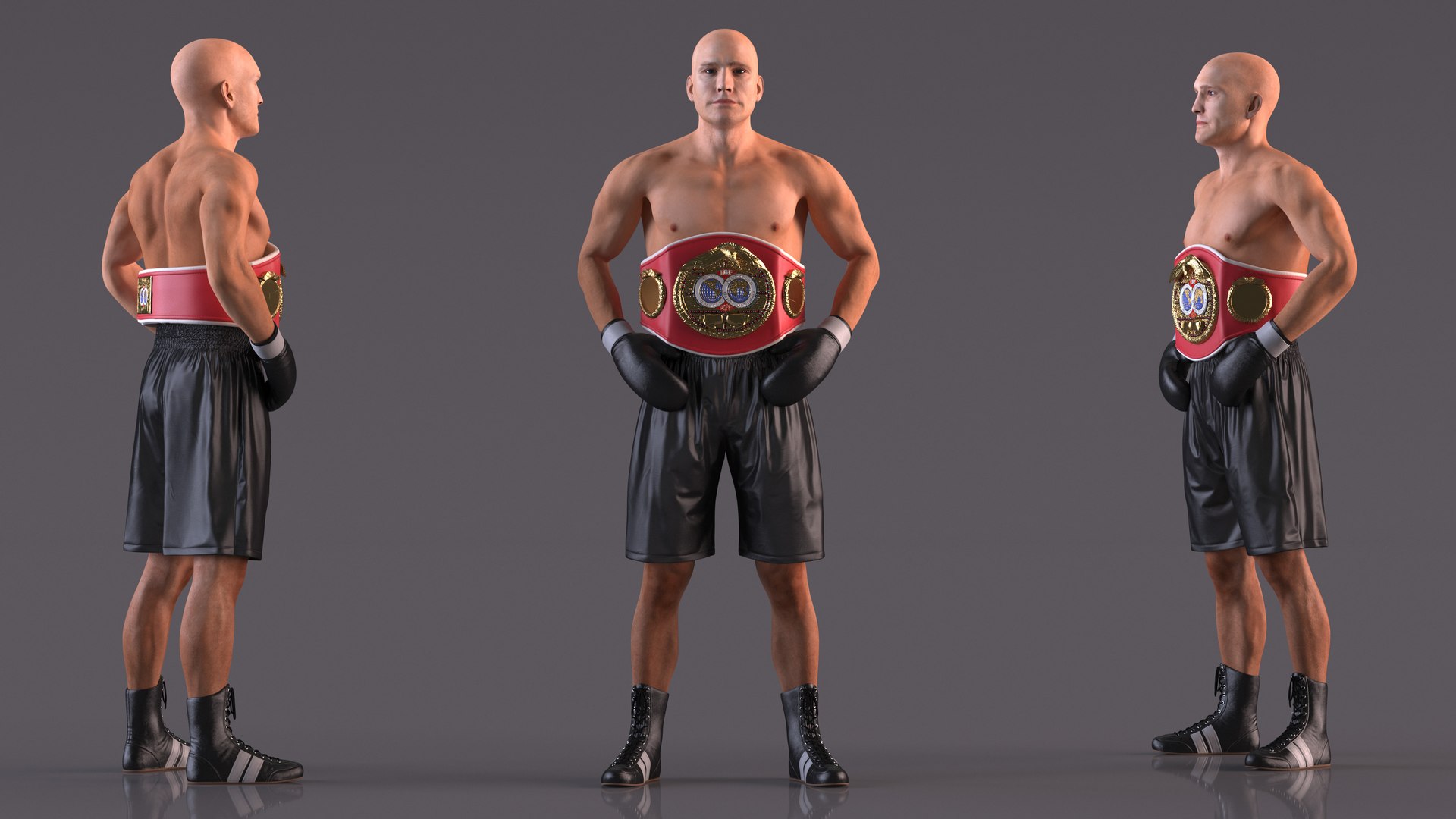 IBF Boxing Champion 3D Model - TurboSquid 2121384