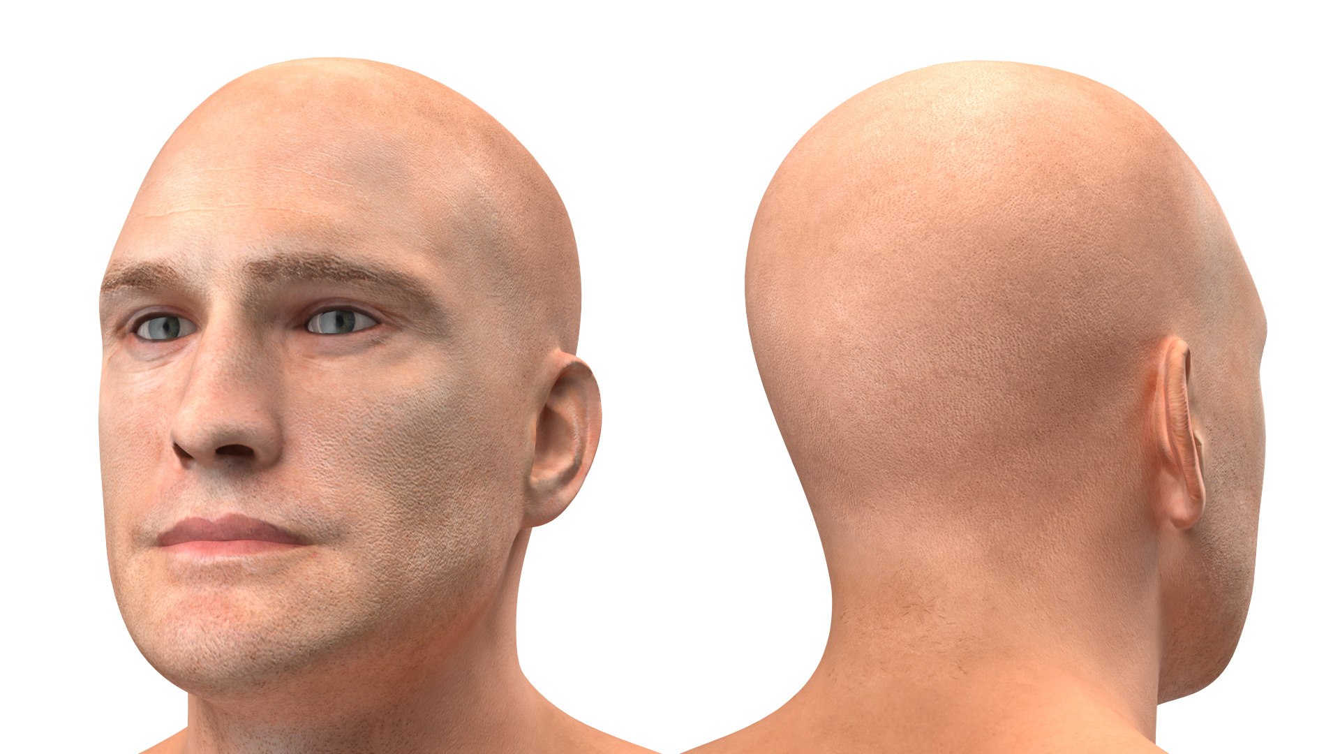 IBF Boxing Champion 3D Model - TurboSquid 2121384