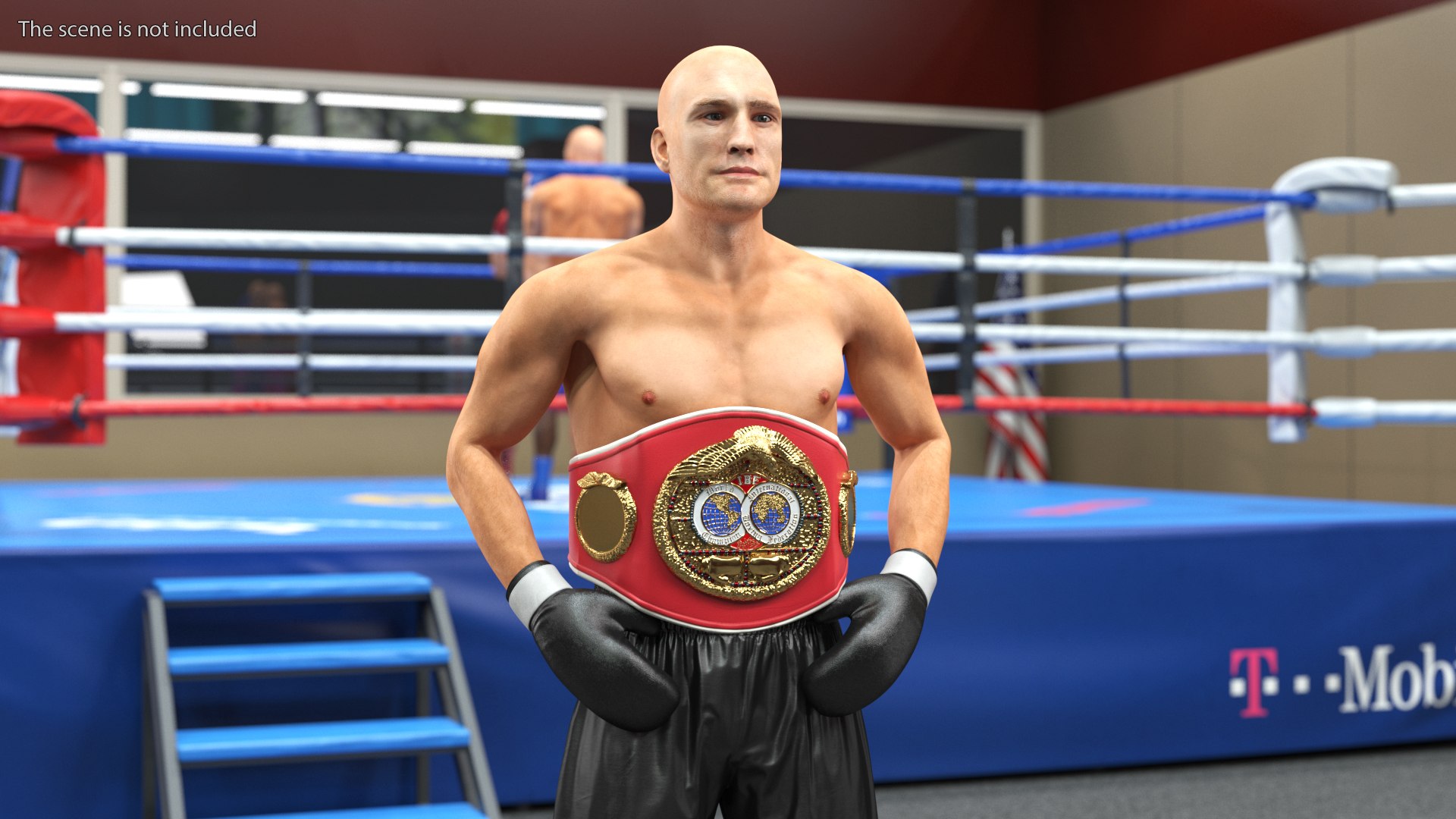 IBF Boxing Champion 3D Model - TurboSquid 2121384