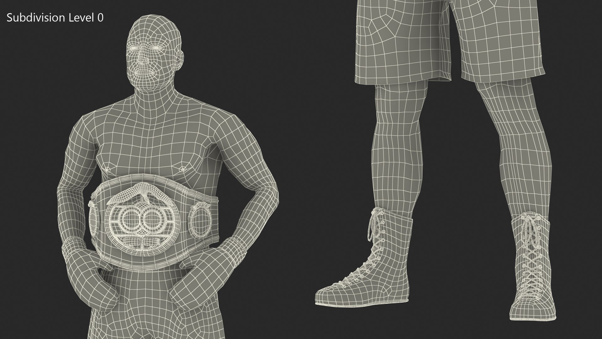 IBF Boxing Champion 3D Model - TurboSquid 2121384