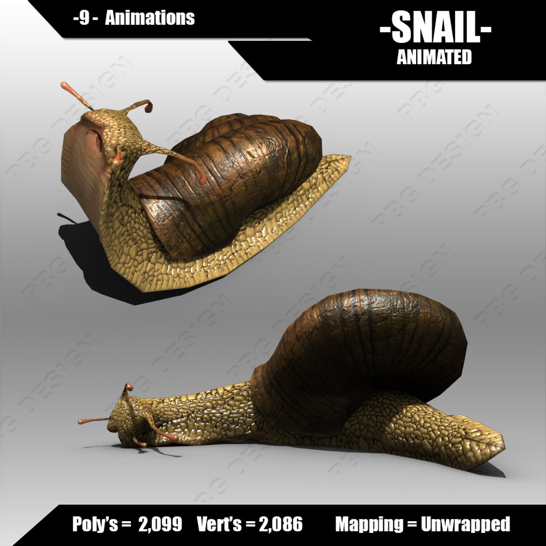 Max Snail Animations