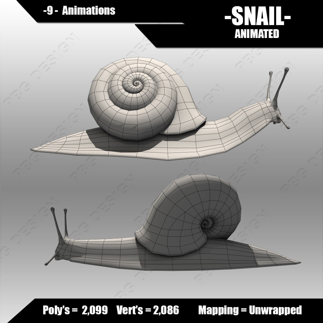 Max Snail Animations
