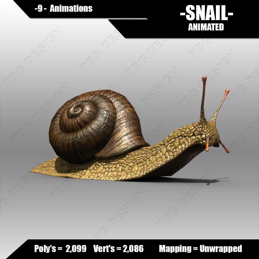 Max Snail Animations