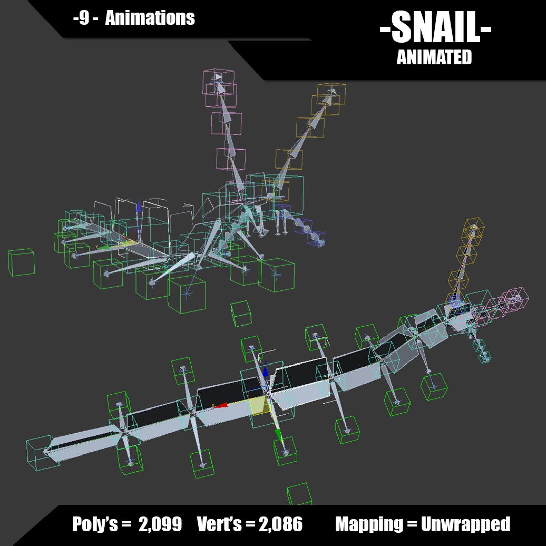 Max Snail Animations