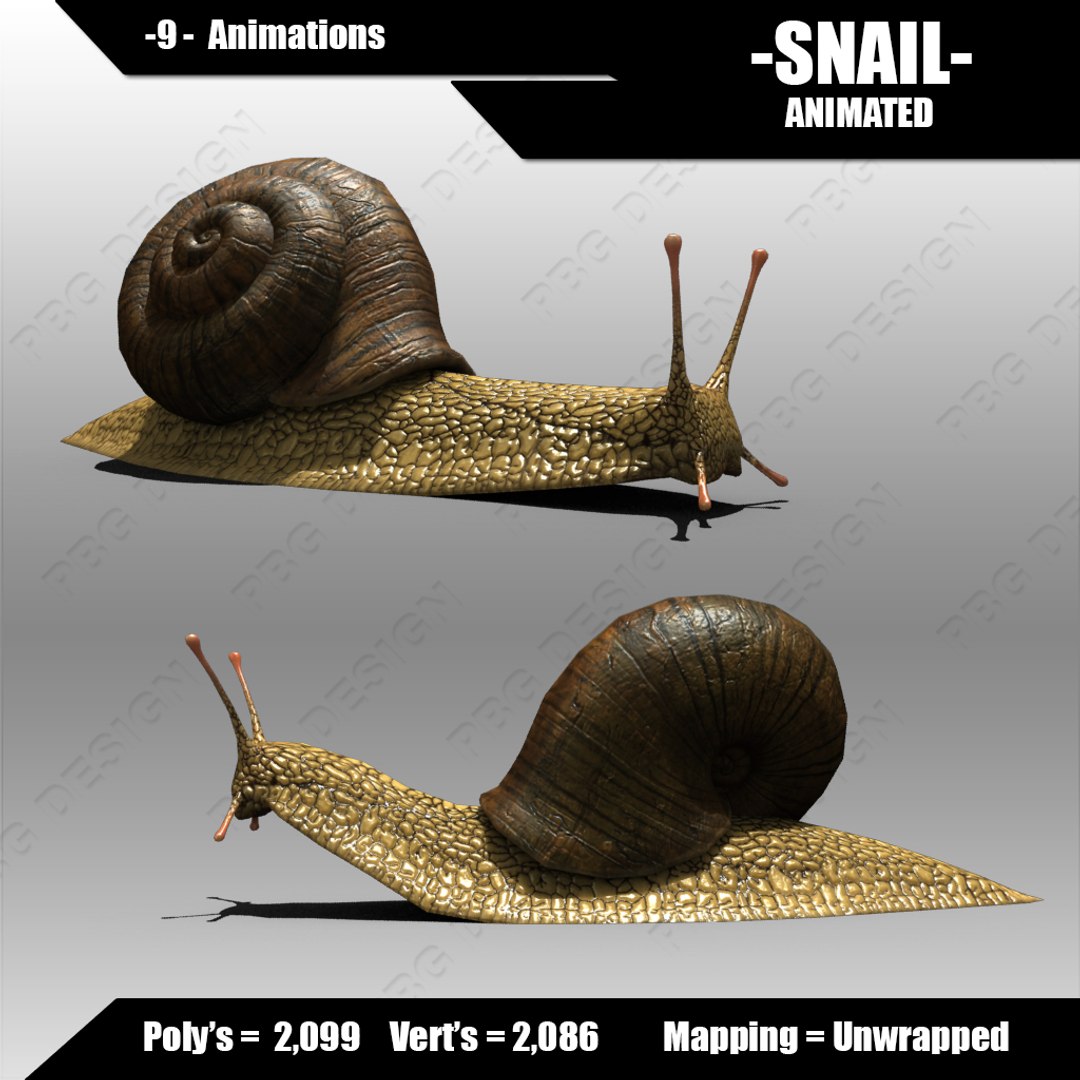 Max Snail Animations