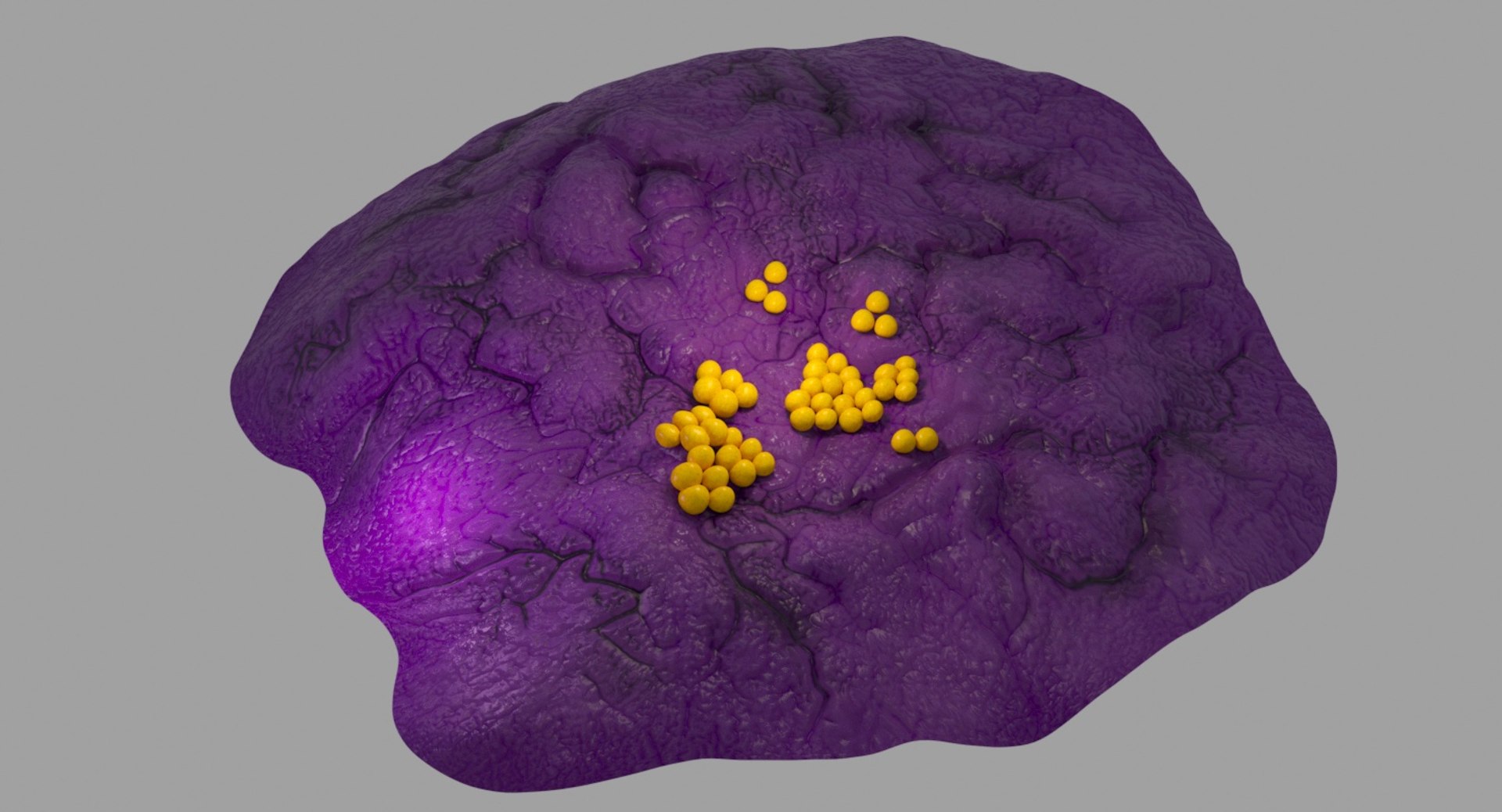 3D Staphylococcus Model - TurboSquid 1323384
