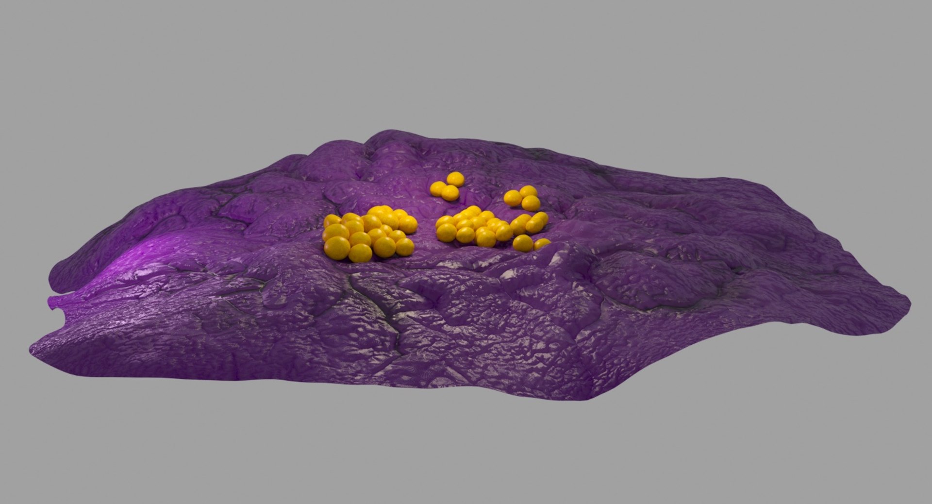 3D Staphylococcus Model - TurboSquid 1323384