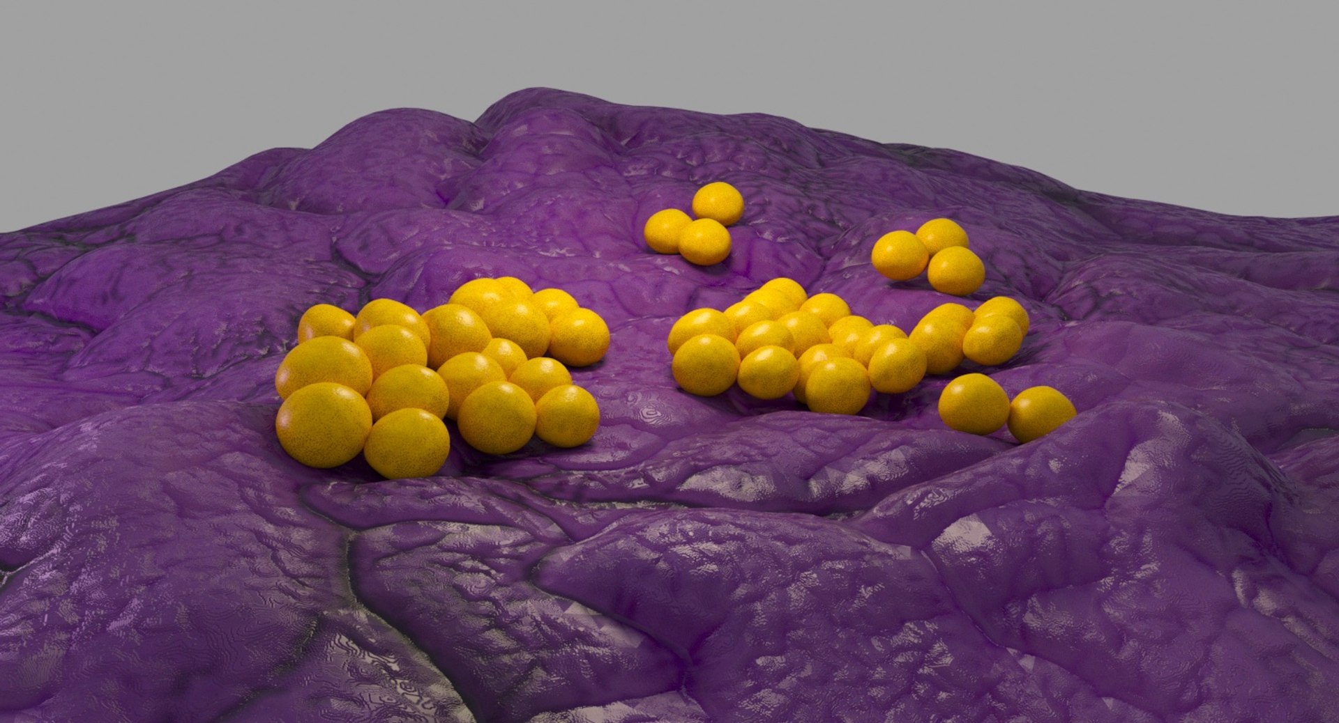 3D Staphylococcus Model - TurboSquid 1323384