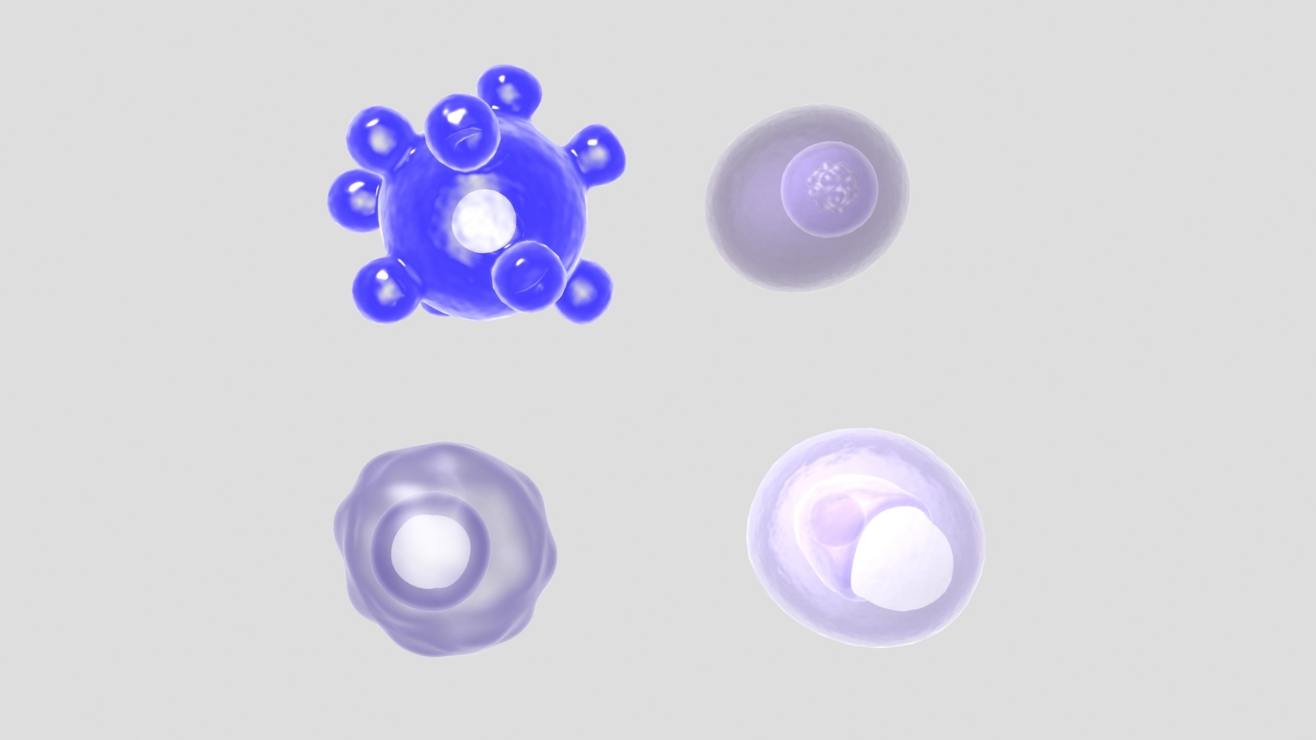 3D Model Viruses And Cells Collection - TurboSquid 2173048