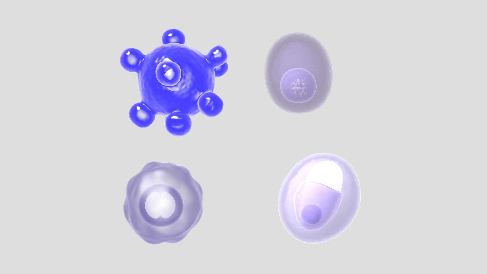 3D Model Viruses And Cells Collection - TurboSquid 2173048