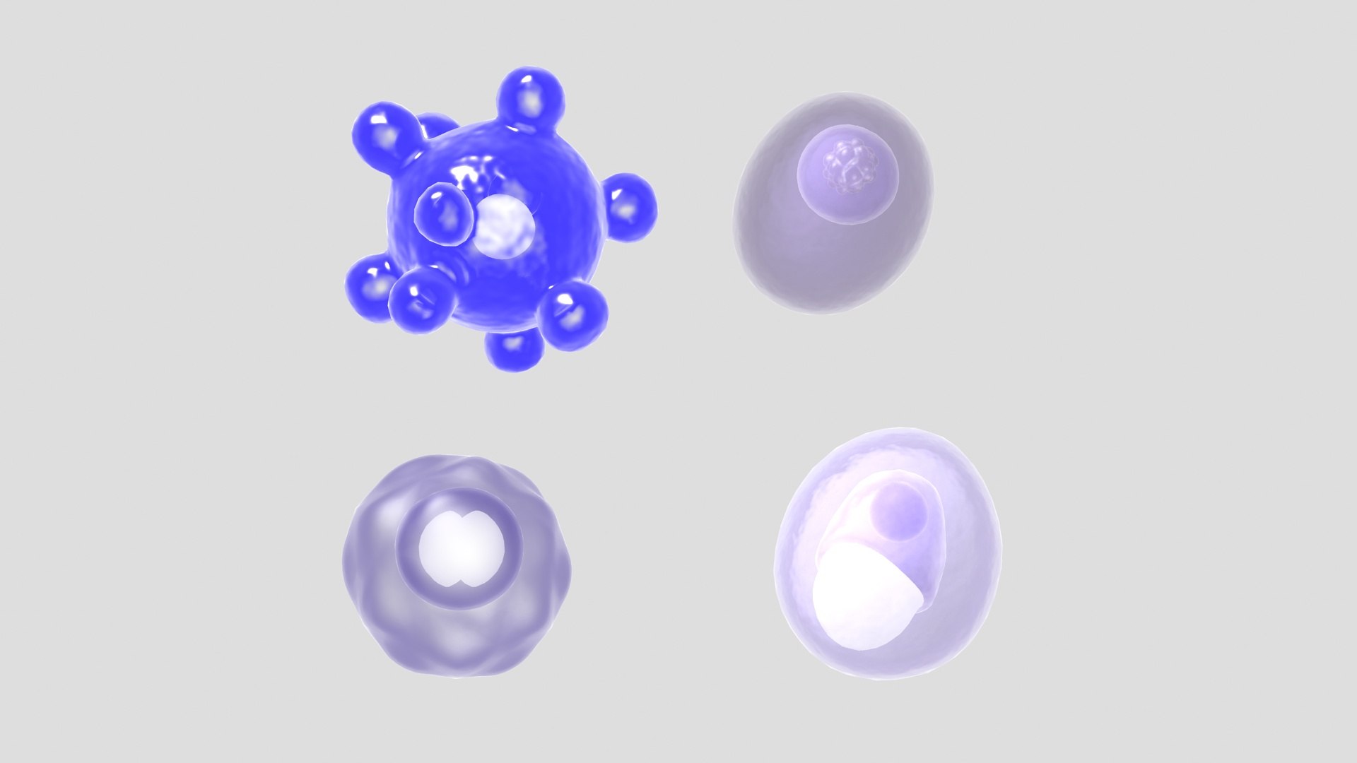 3D Model Viruses And Cells Collection - TurboSquid 2173048