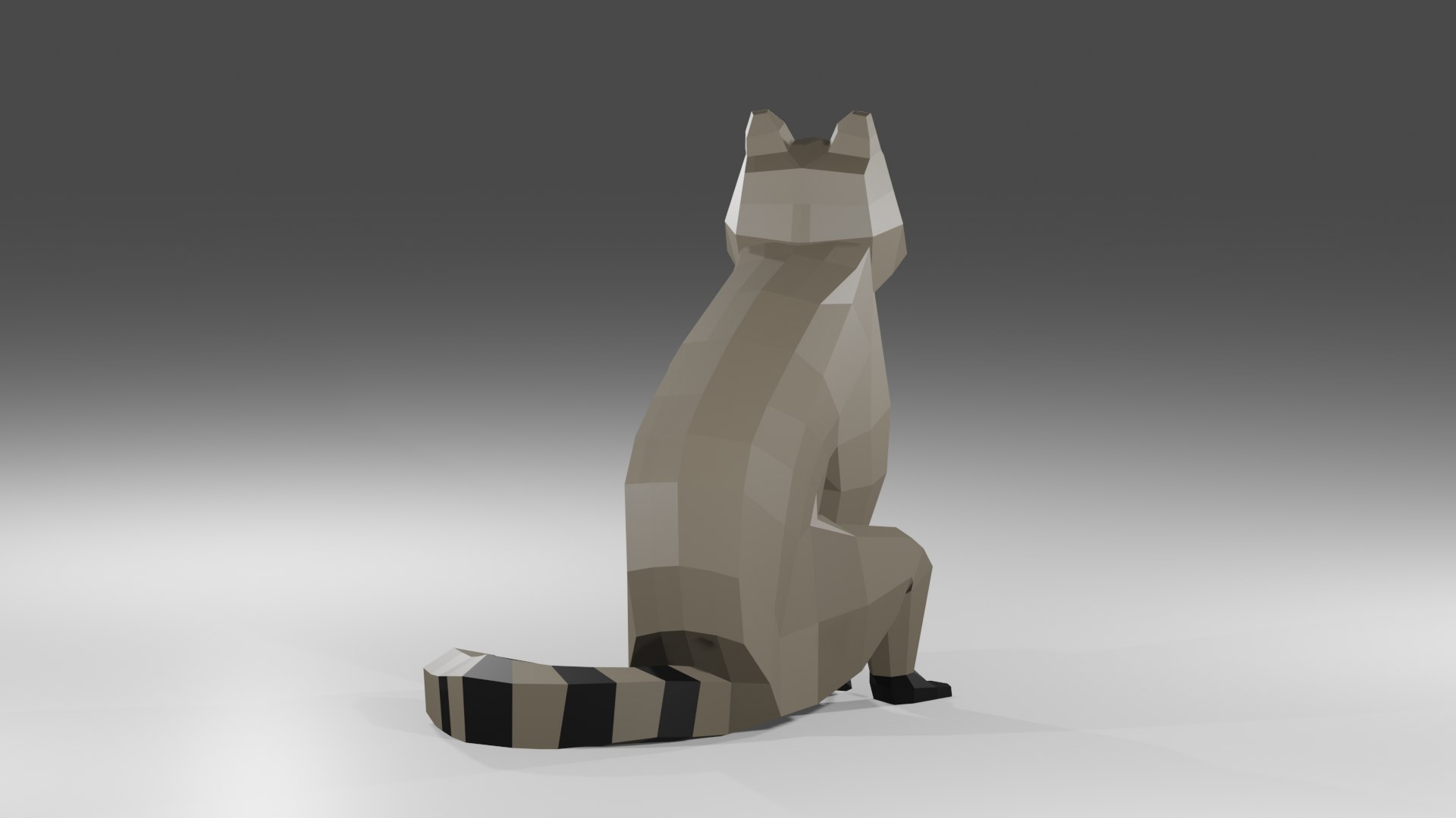 Raccoon Rigged Low Poly Model - TurboSquid 1836312