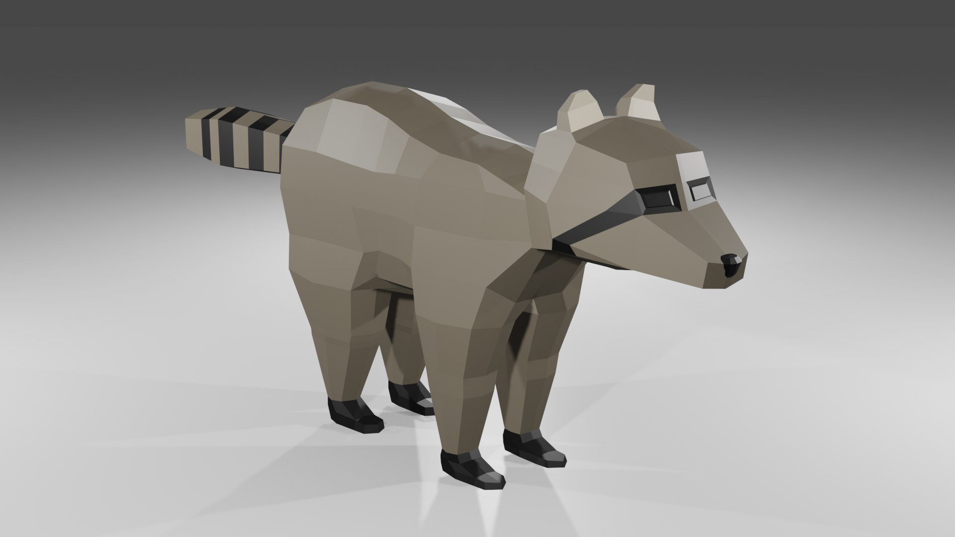 Raccoon Rigged Low Poly Model - TurboSquid 1836312