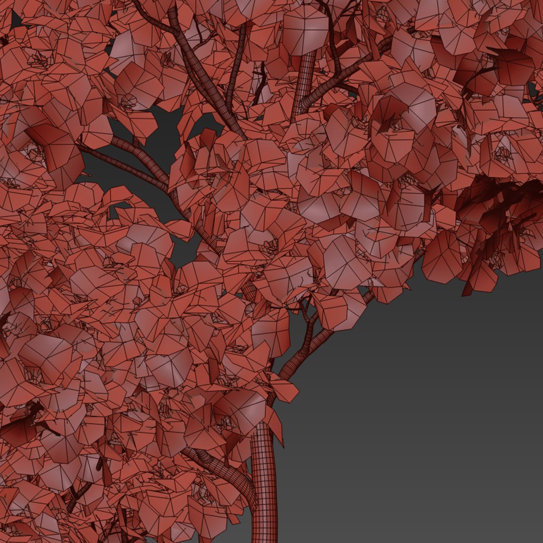 Fig Tree 02 Model - TurboSquid 1955433