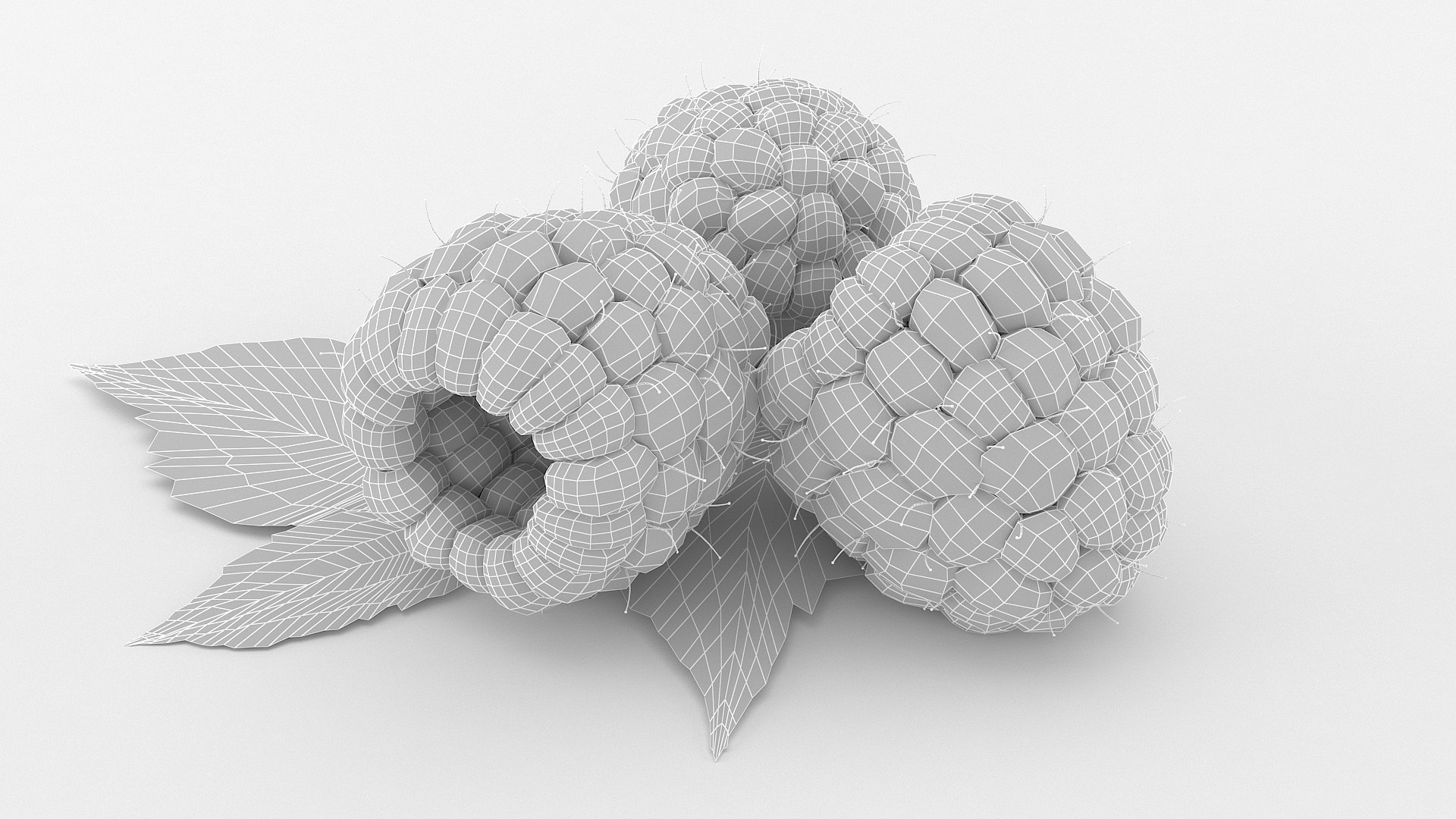 Realistic Raspberry Fruit 3D Model - TurboSquid 1489485