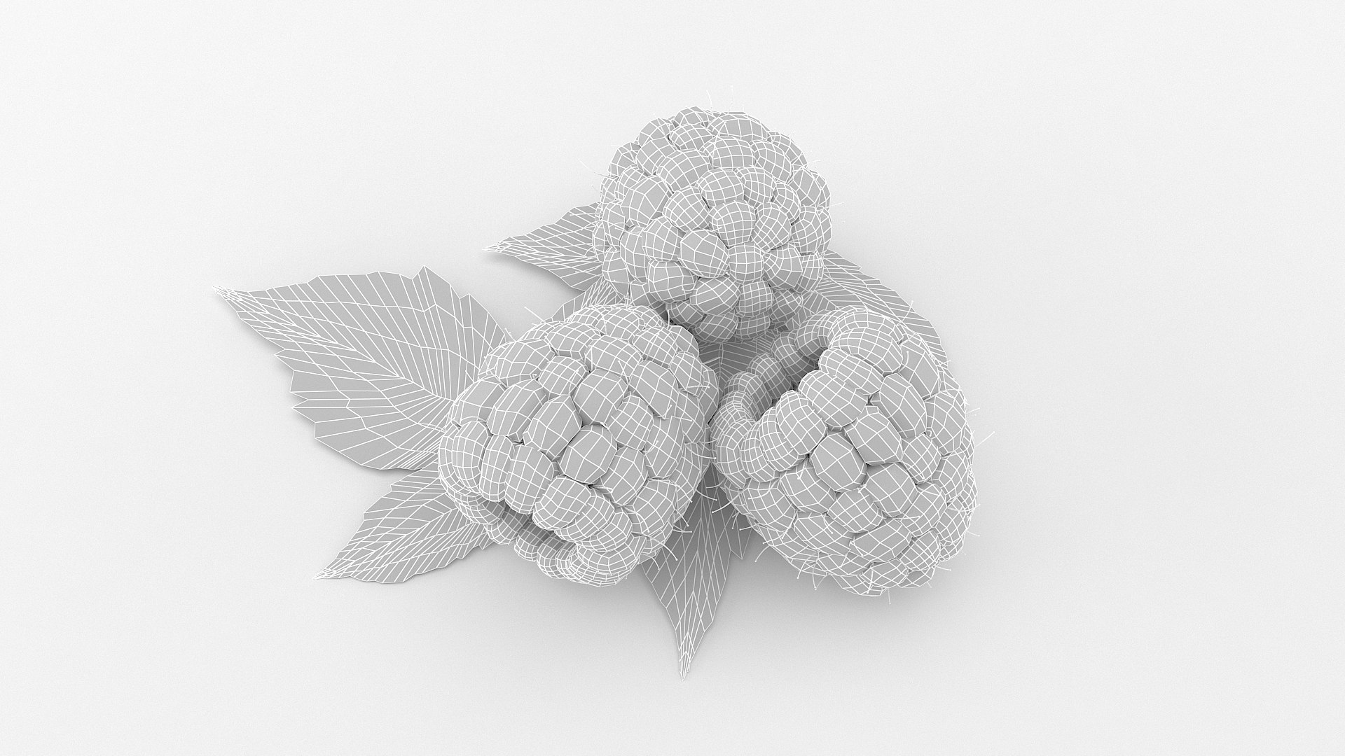 Realistic Raspberry Fruit 3D Model - TurboSquid 1489485