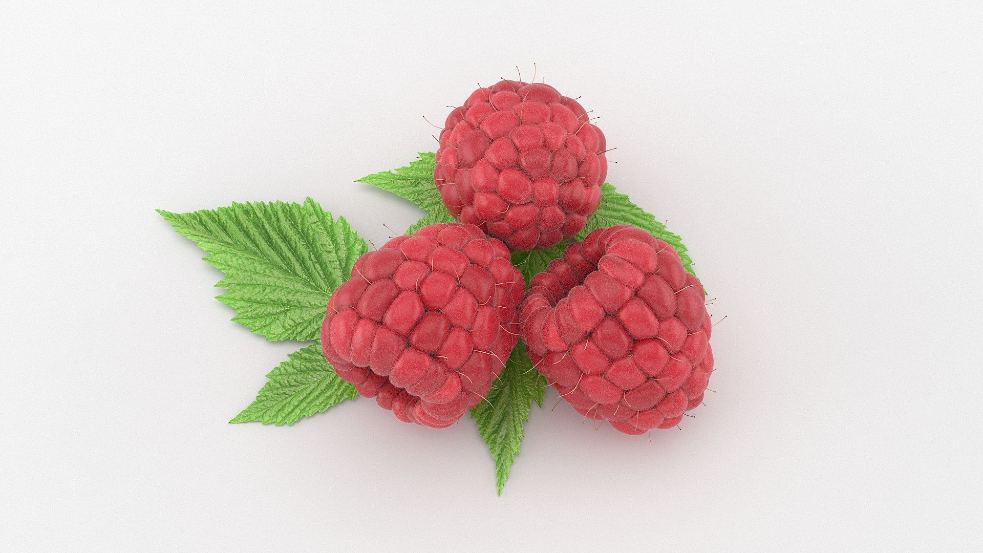 Realistic Raspberry Fruit 3D Model - TurboSquid 1489485
