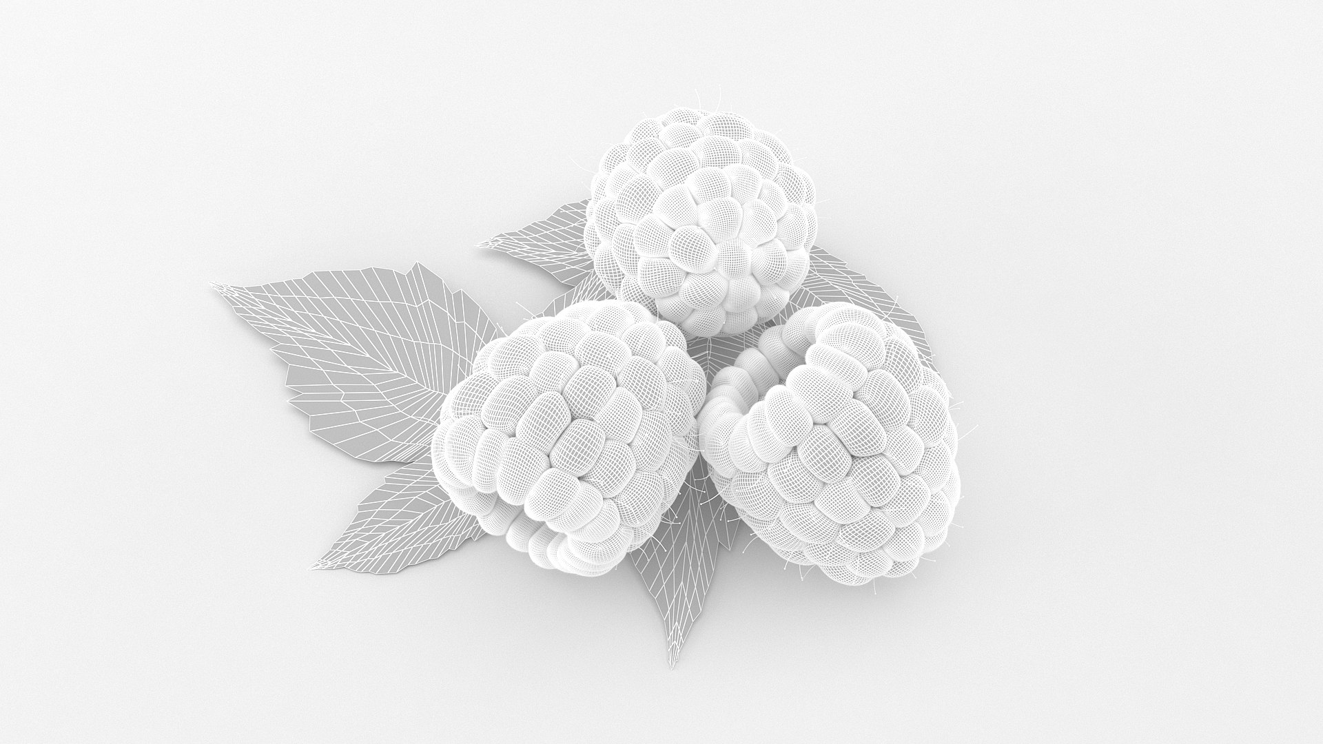 Realistic Raspberry Fruit 3D Model - TurboSquid 1489485
