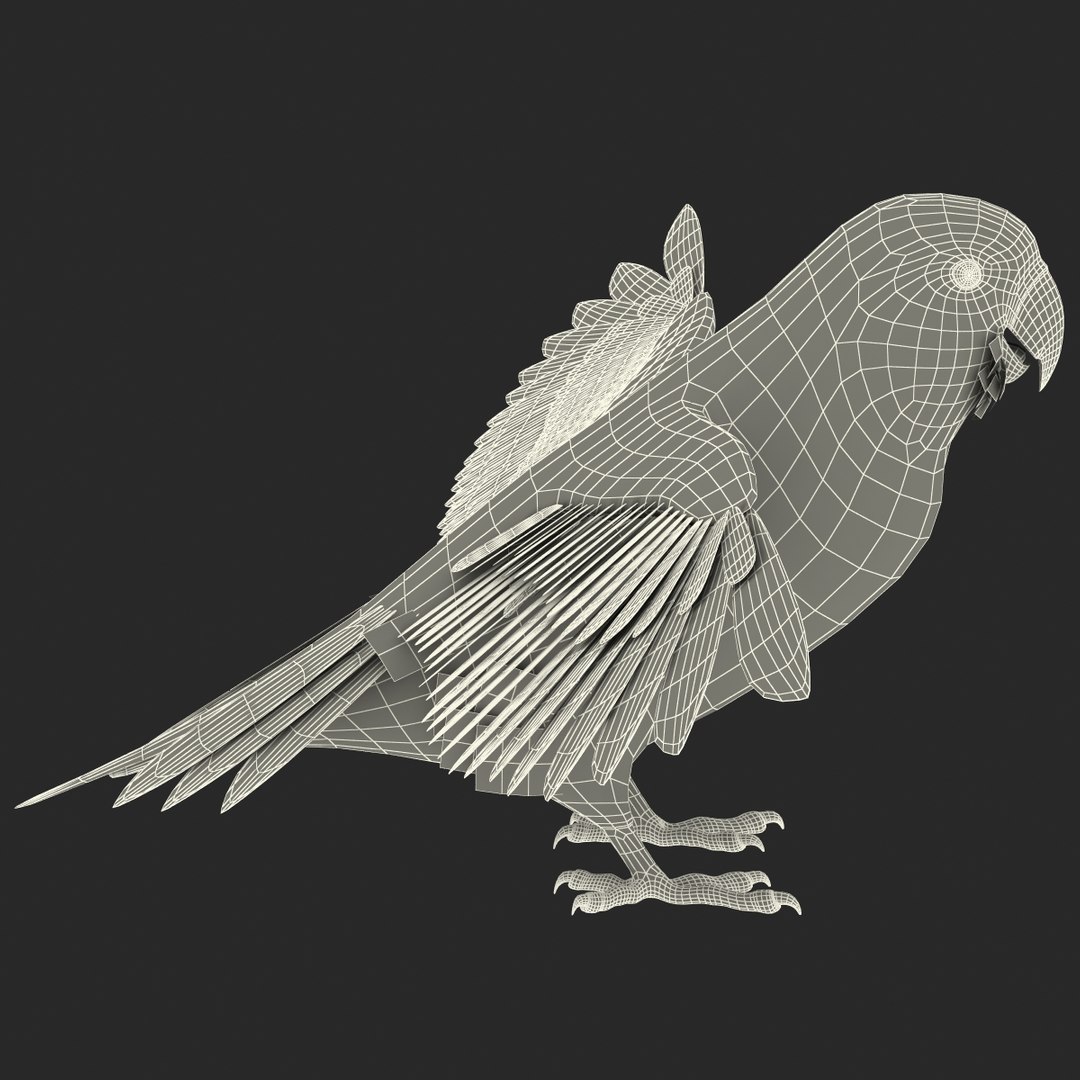 3d Model Lovebird Bird