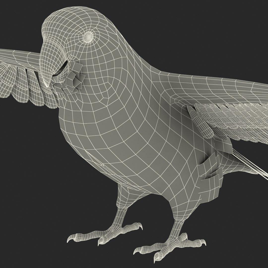 3d Model Lovebird Bird