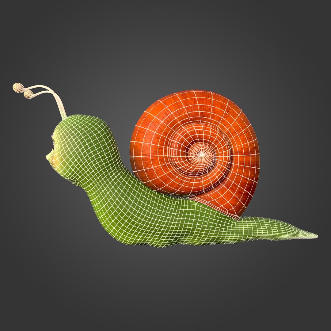 Snail 3D Model - TurboSquid 2330445