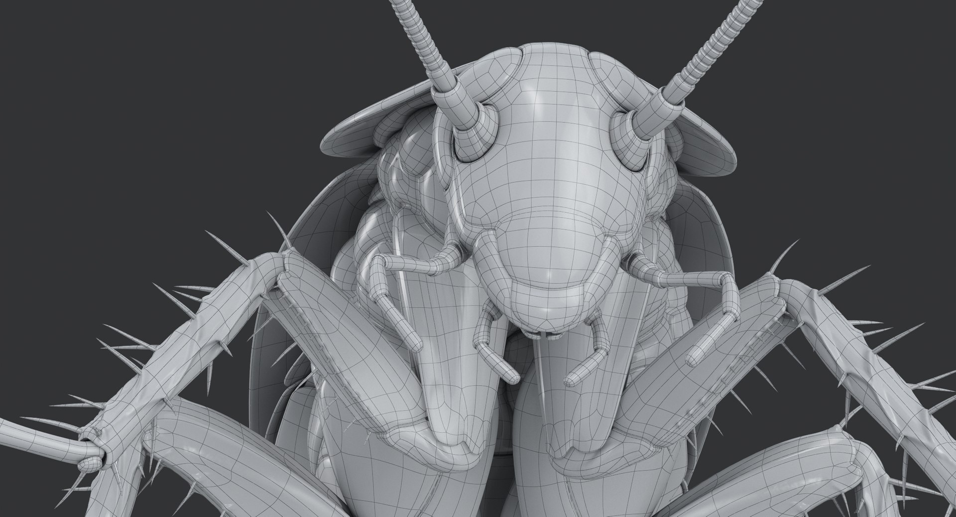 3D fur cockroach american model - TurboSquid 1633168