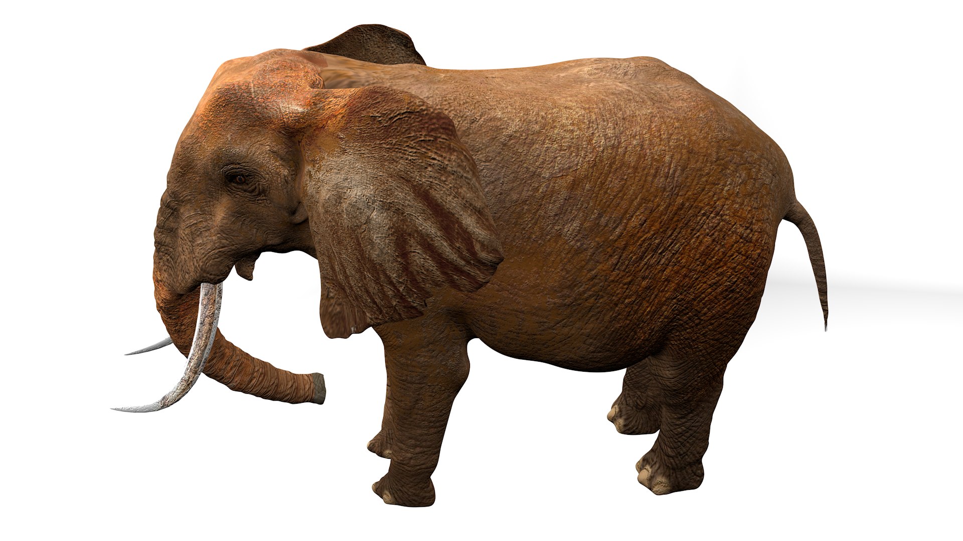 African Elephant RIGGED L2367 3D - TurboSquid 2394651