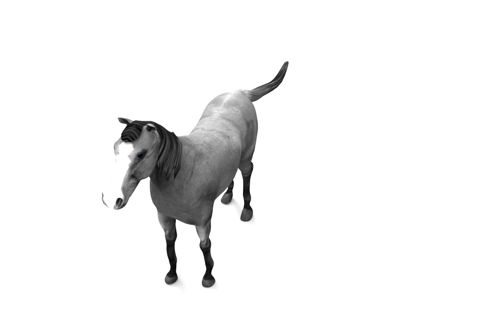 Horse Animation 3D - TurboSquid 1221889