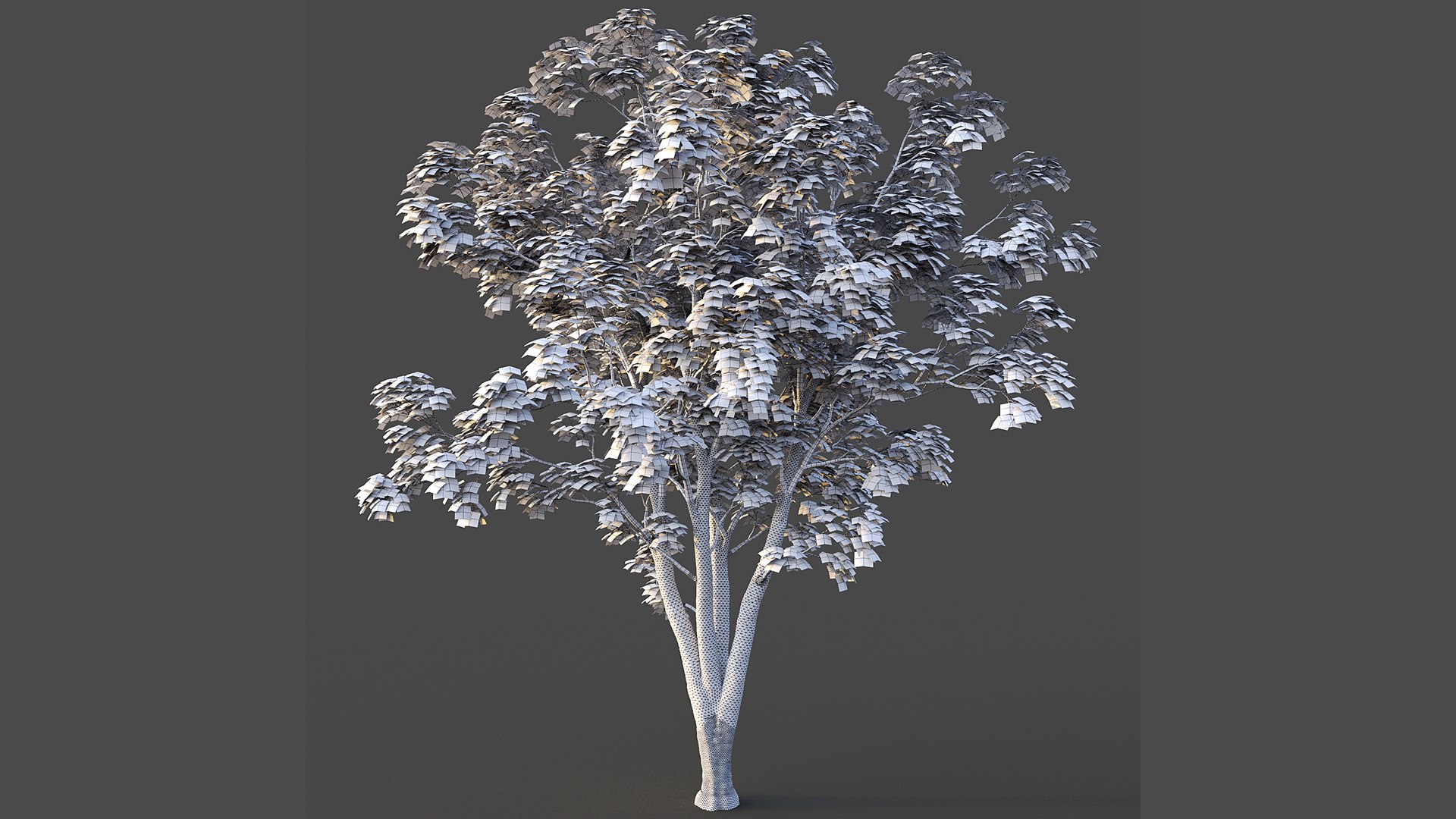 3D Model Japanese Maple - TurboSquid 2037276