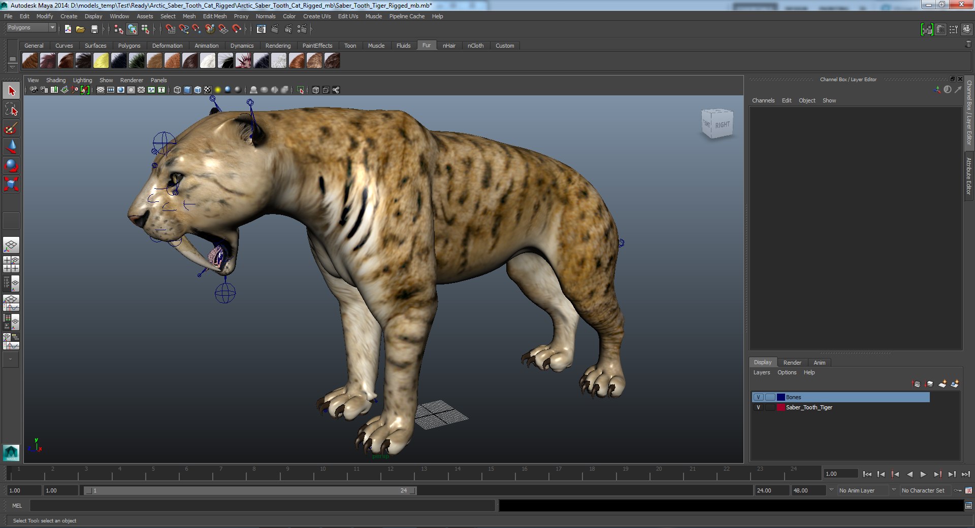 Arctic saber tooth cat 3D model - TurboSquid 1379248