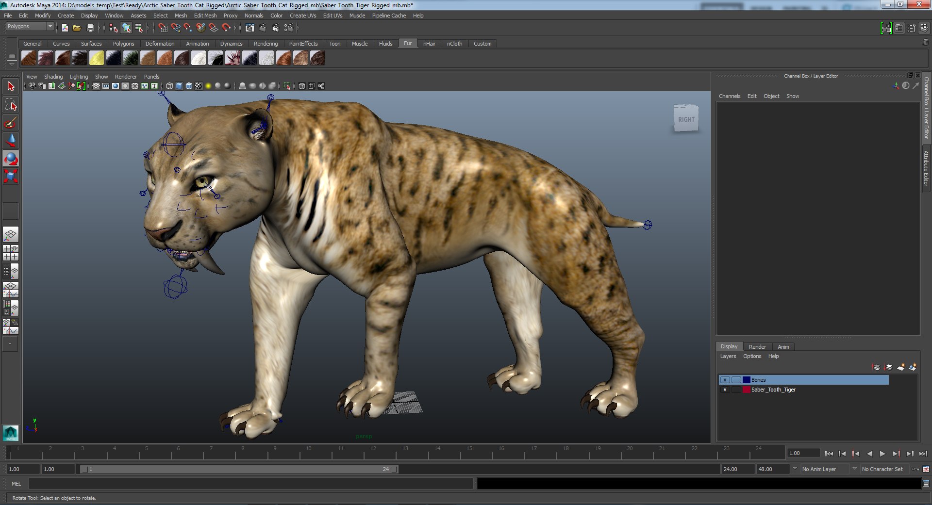 Arctic saber tooth cat 3D model - TurboSquid 1379248