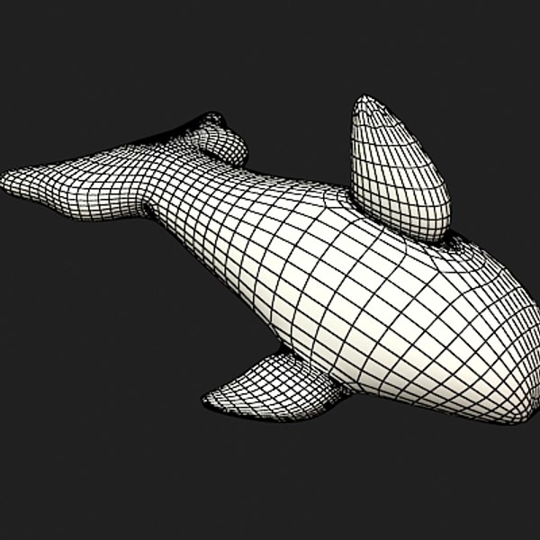 maya inflatable dolphin
