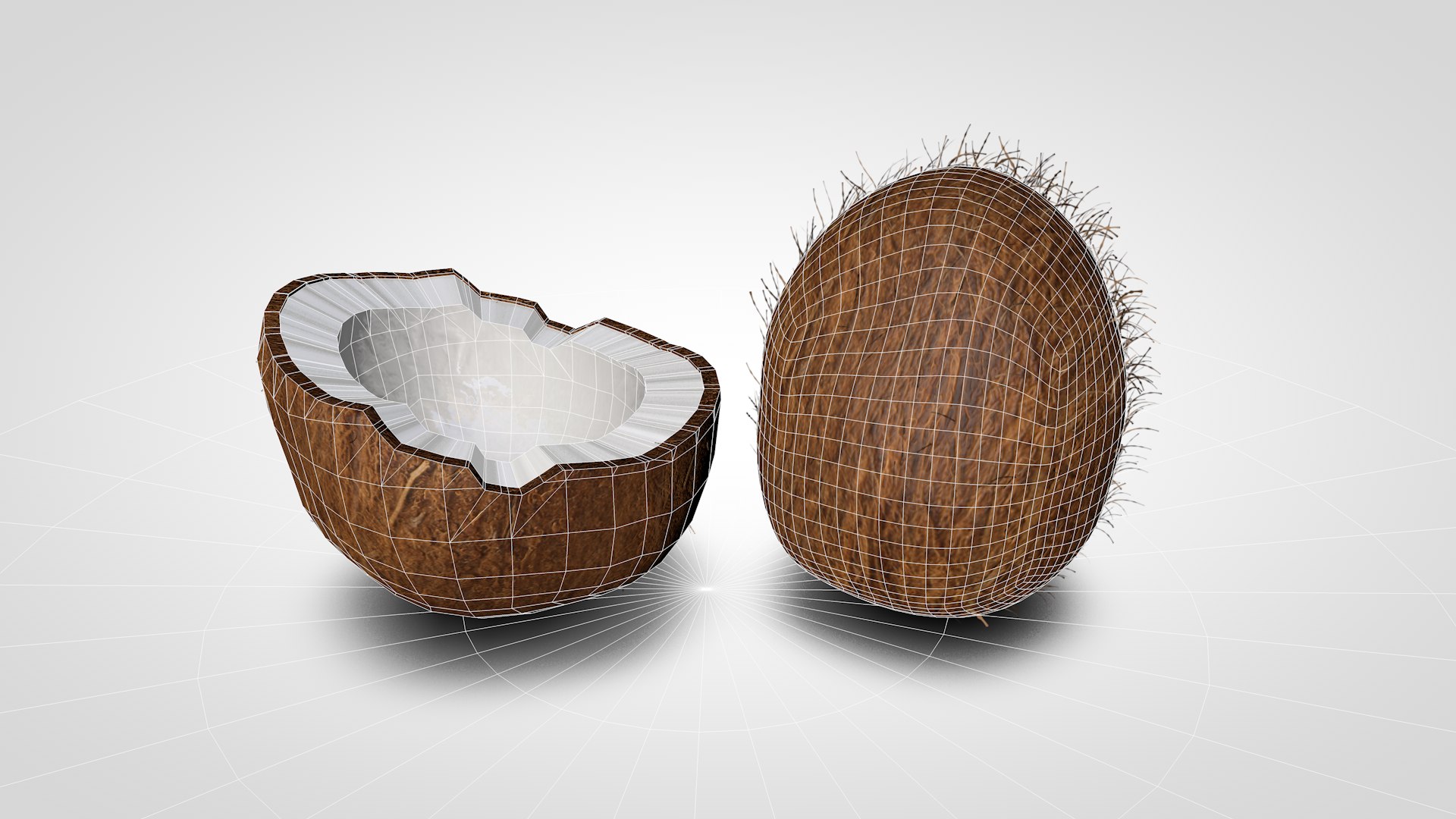 Coconut Coco Nut 3d Model