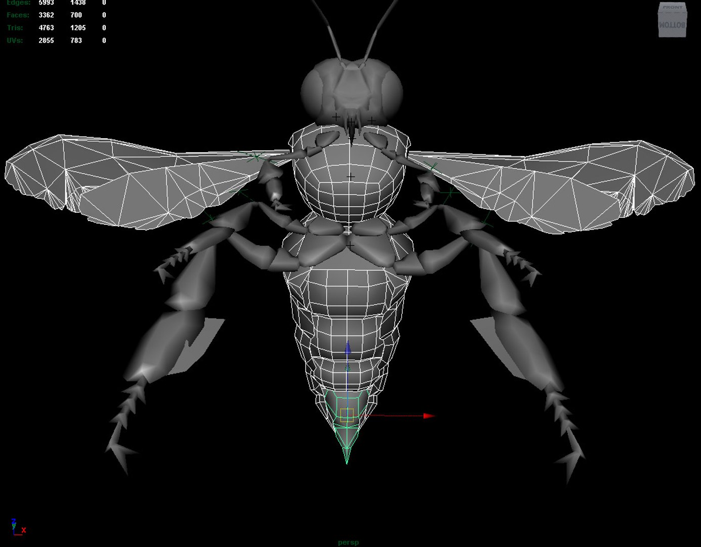 Bee Wing 3d Model