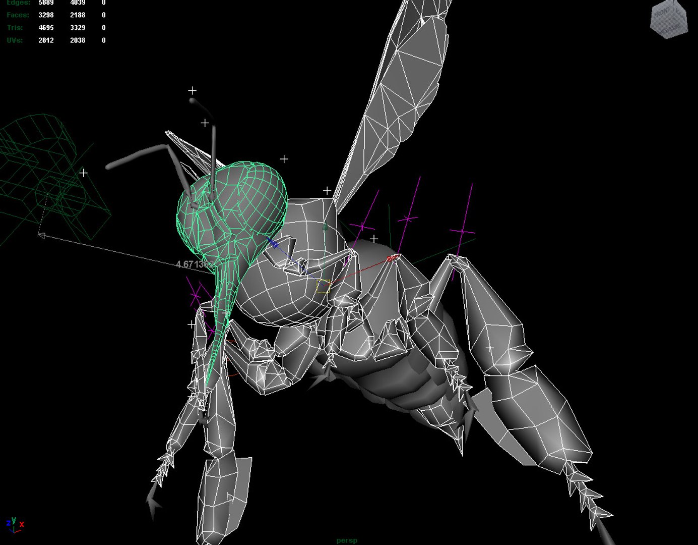 Bee Wing 3d Model