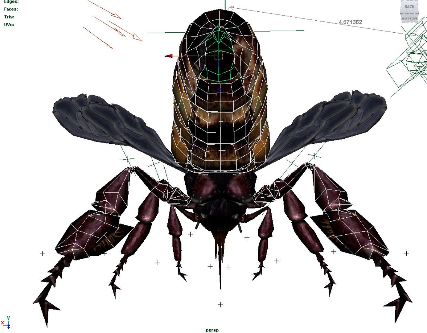 Bee Wing 3d Model