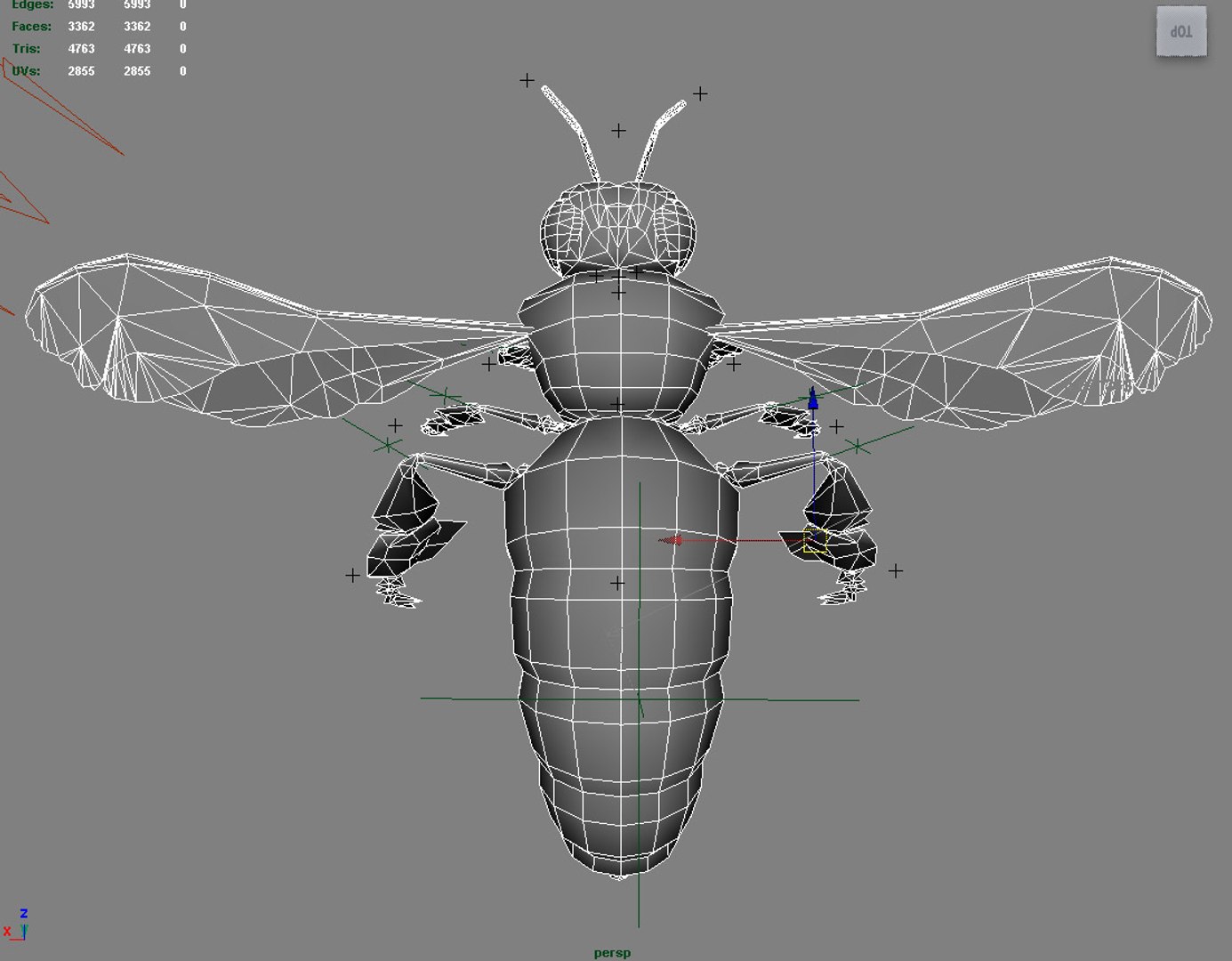 Bee Wing 3d Model