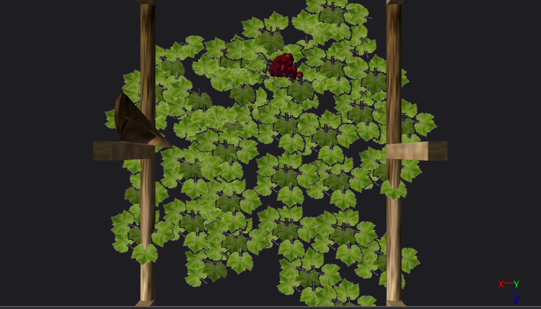 grapes tree 3d model