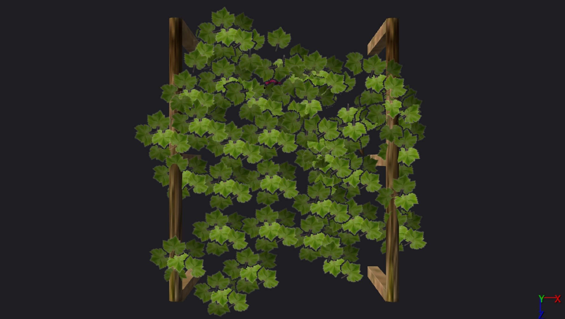 grapes tree 3d model